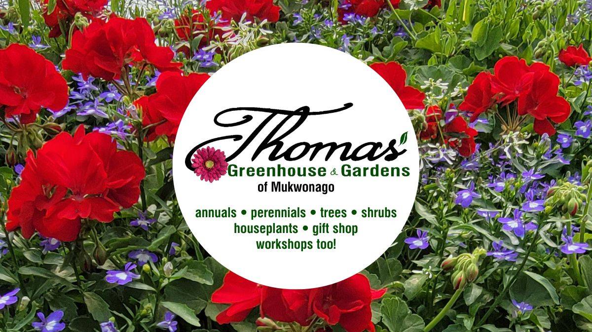 The Ultimate Guide to Caring for Common Houseplants • Thomas Greenhouse ...