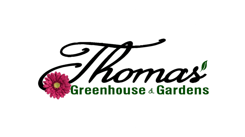 Weather-Proofing Your Garden from Heat & Storms • Thomas Greenhouse