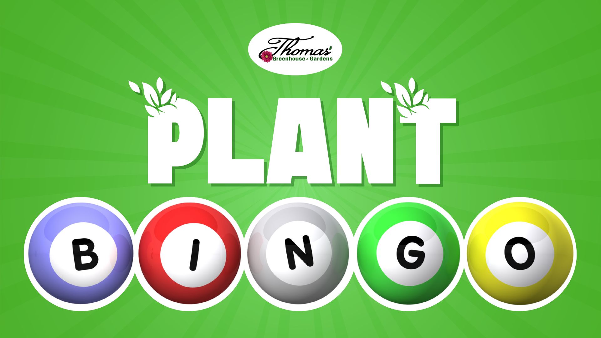 Plant Bingo | Thomas Greenhouse & Gardens